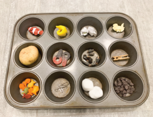 Science Activity